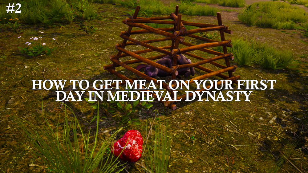 How to Get Meat on Your First Day in Medieval Dynasty – Survival Game Guide