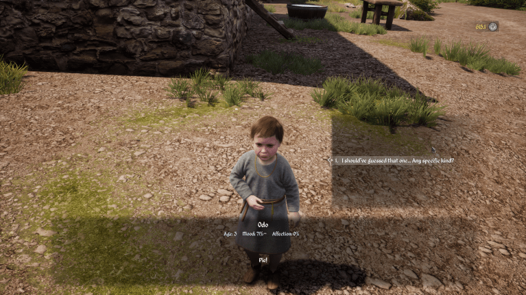 Everything You Need To Know About Your Heir in Medieval Dynasty ...